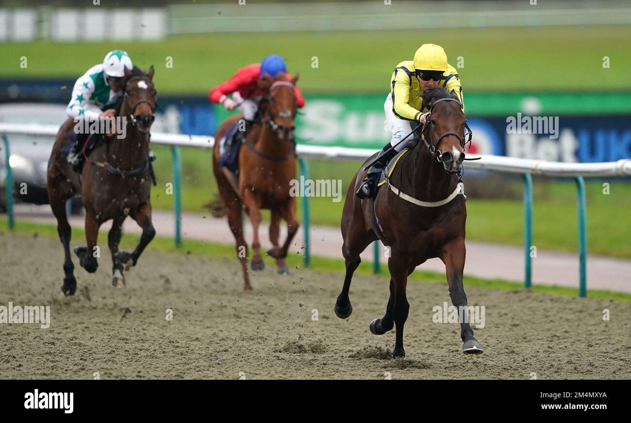 New definition horse hi-res stock photography and images - Alamy