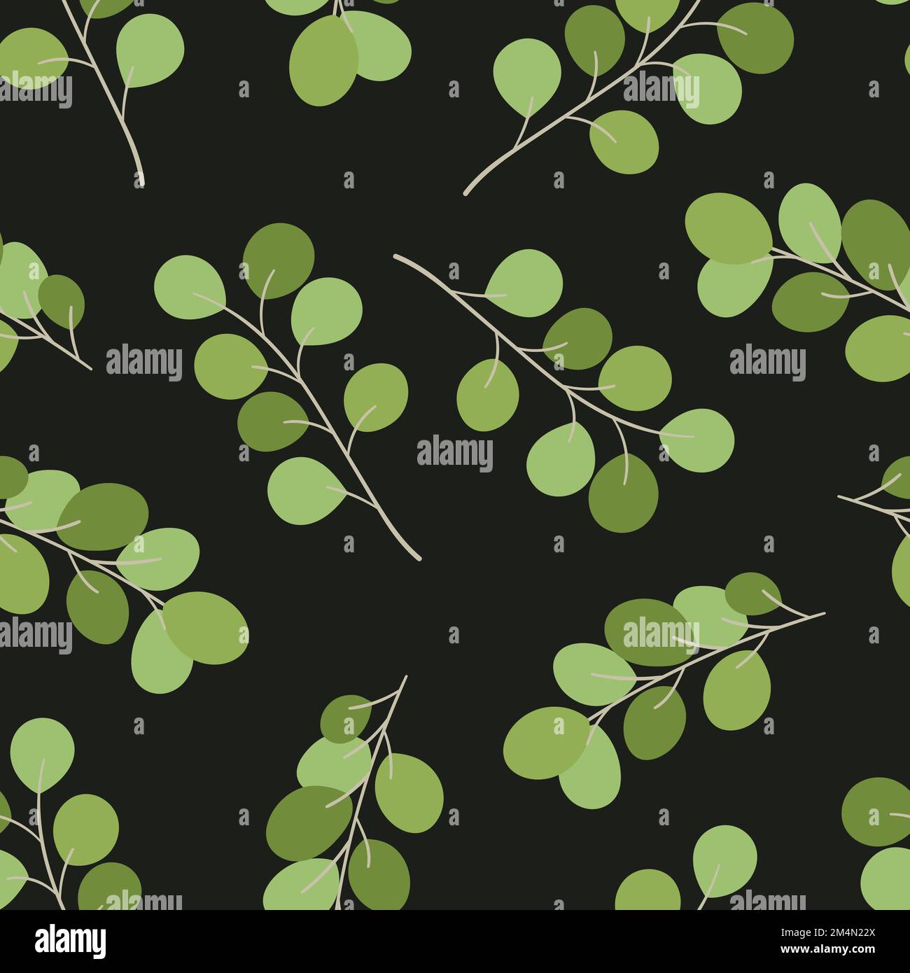 Beautiful eucalyptus plant branches hi-res stock photography and images ...