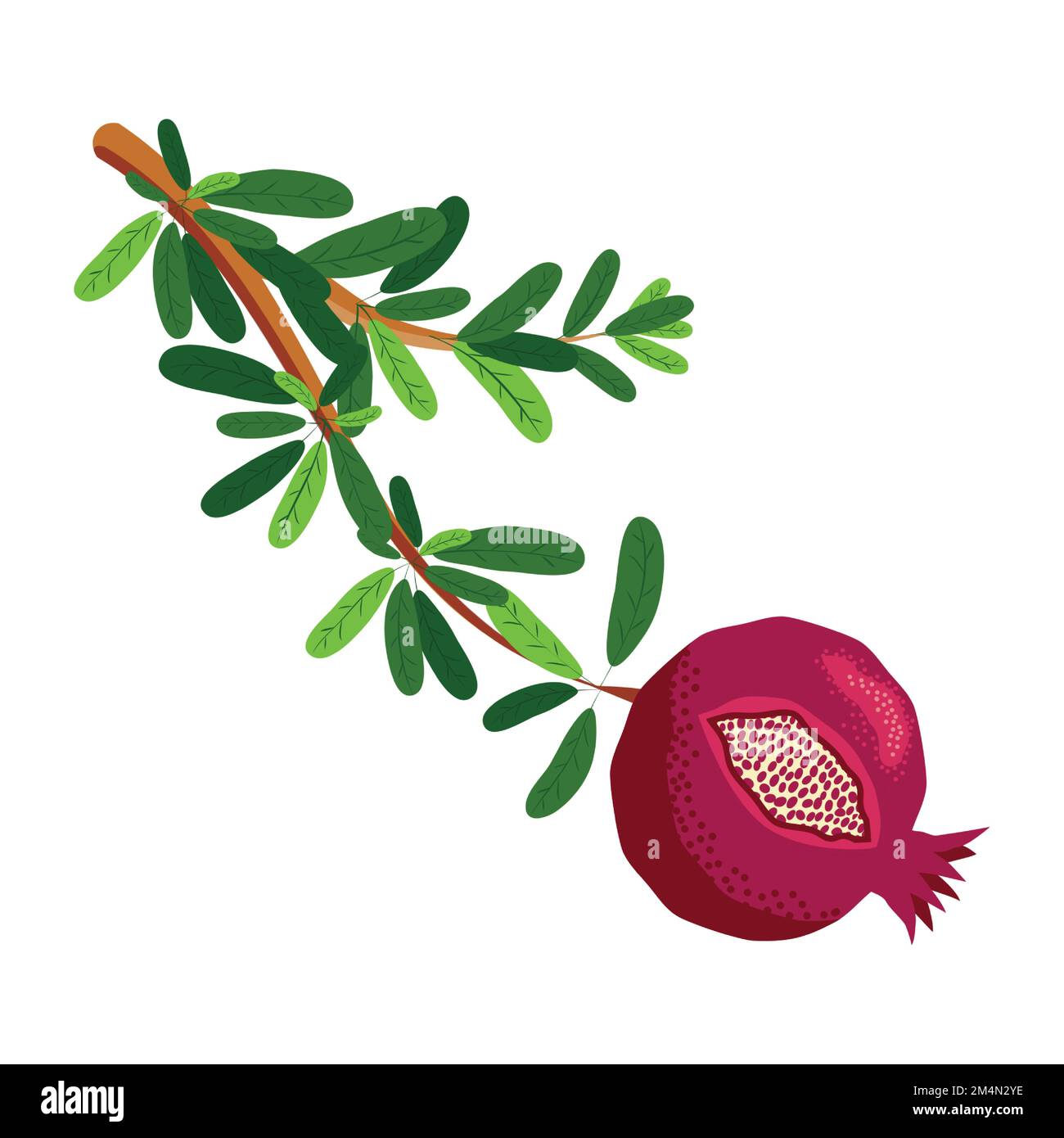 Pomegranate branches with fruits and flowers. Symbol of good luck ...