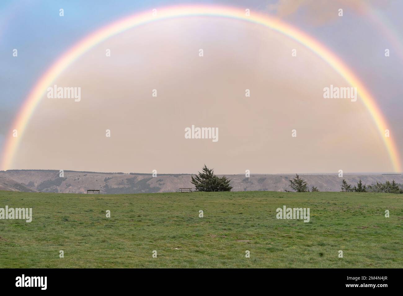 A beautiful and spectacular full rainbow in the green field of ...