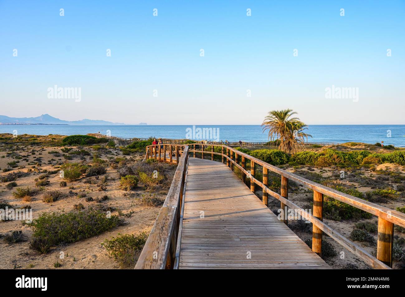 Elche beach in the golden dusk light. Landscape and scenic in the ...