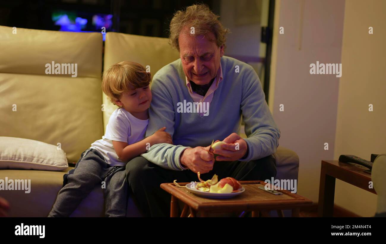 Grandson and grandfather eating apple together bonding at living room ...