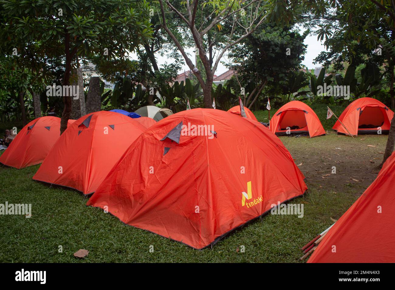 Orange tents lined up neatly in a field Stock Photo - Alamy