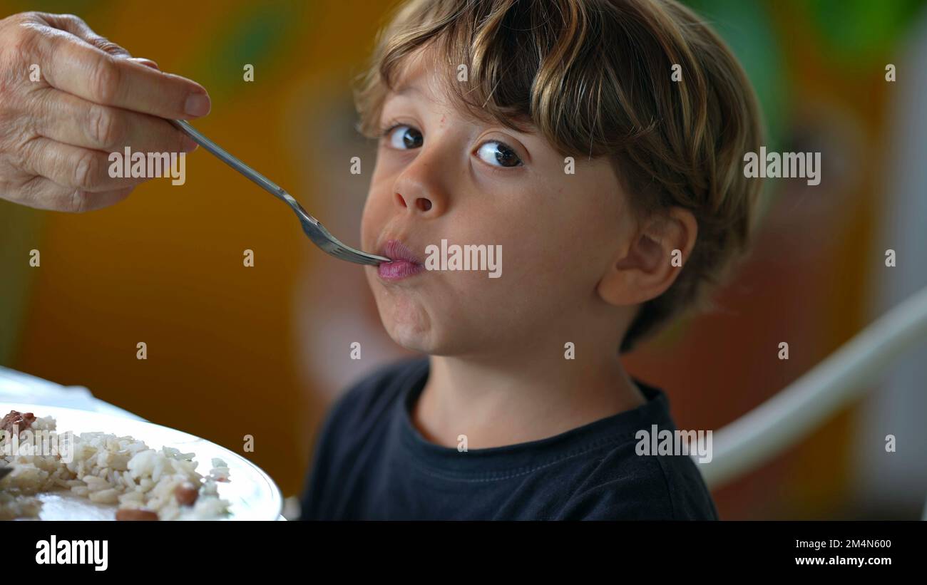 Parent feeding child. Little boy eating food lunch time. One adorable ...