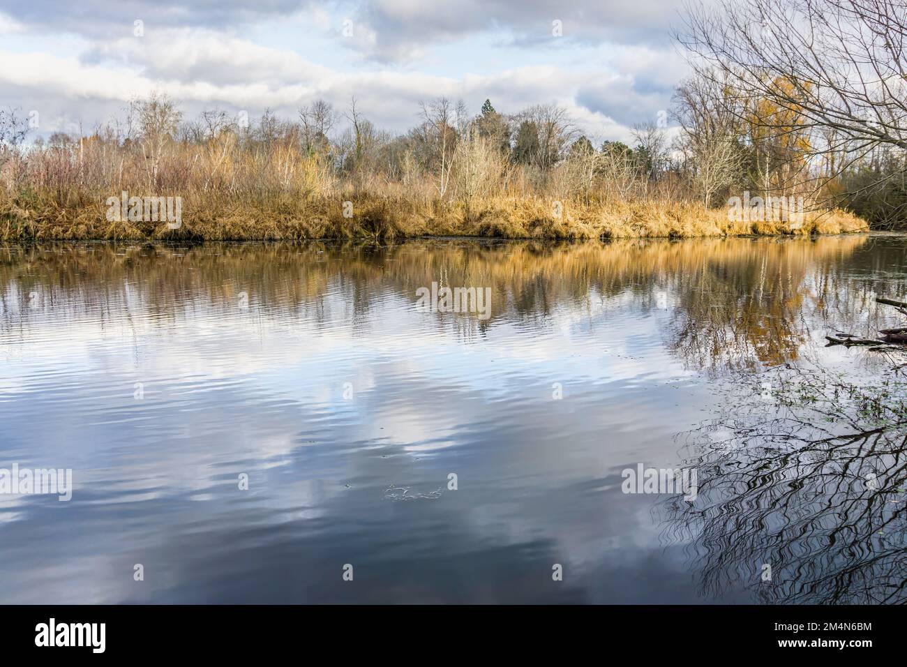 Water inlet at the Washington Park Arboretum in Seattle, Washington ...
