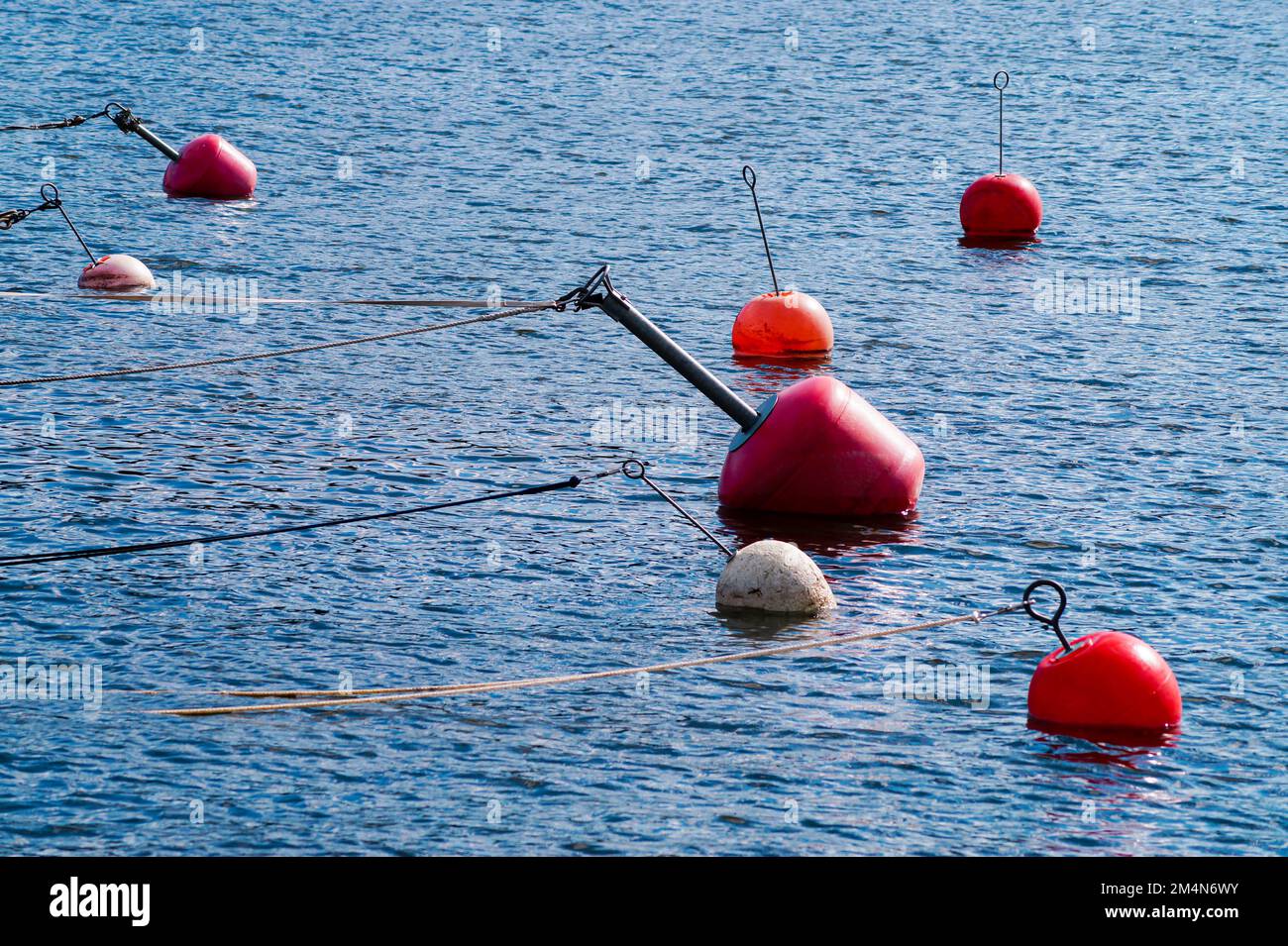 High angle view of buoys floating on sea Stock Photo - Alamy