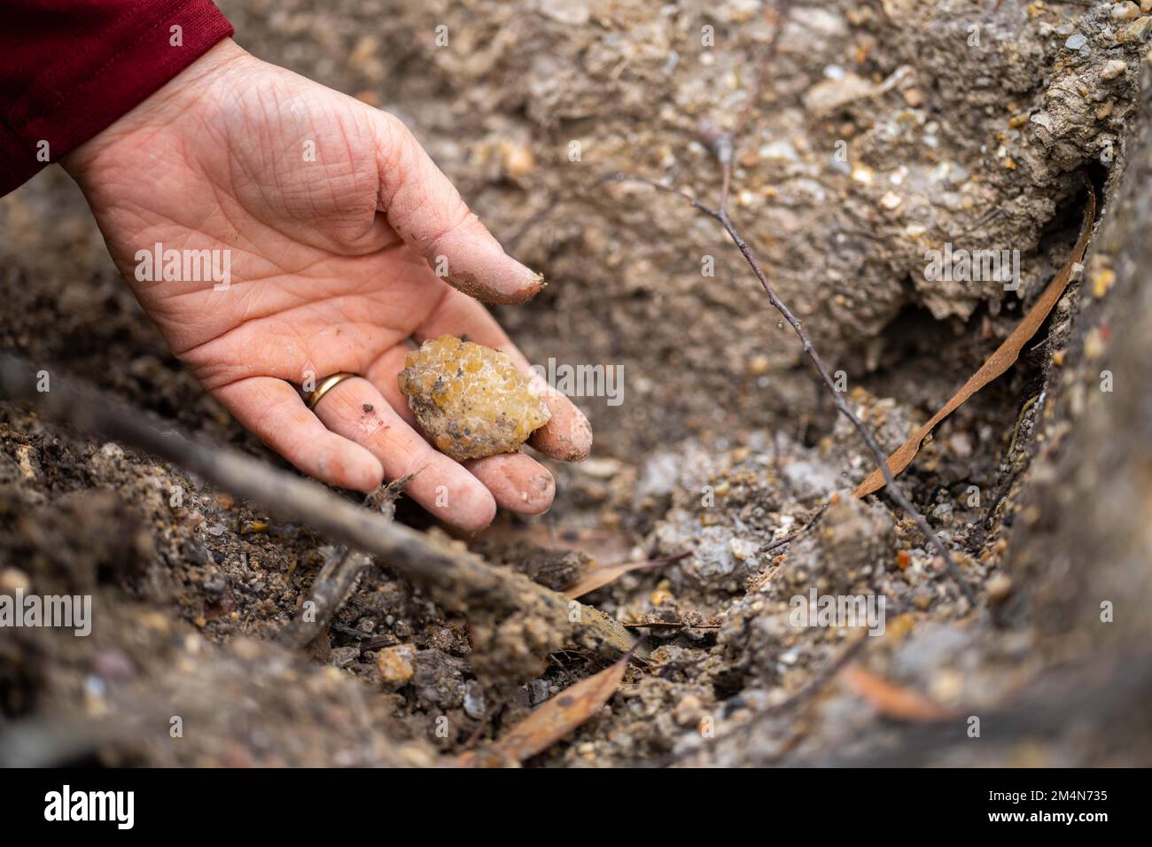 Sapphire diggings hi-res stock photography and images - Alamy