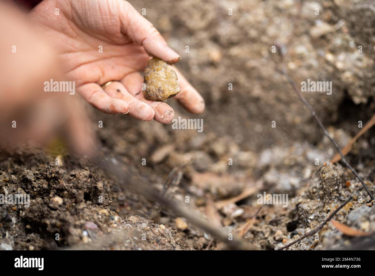 Sapphire diggings hi-res stock photography and images - Alamy