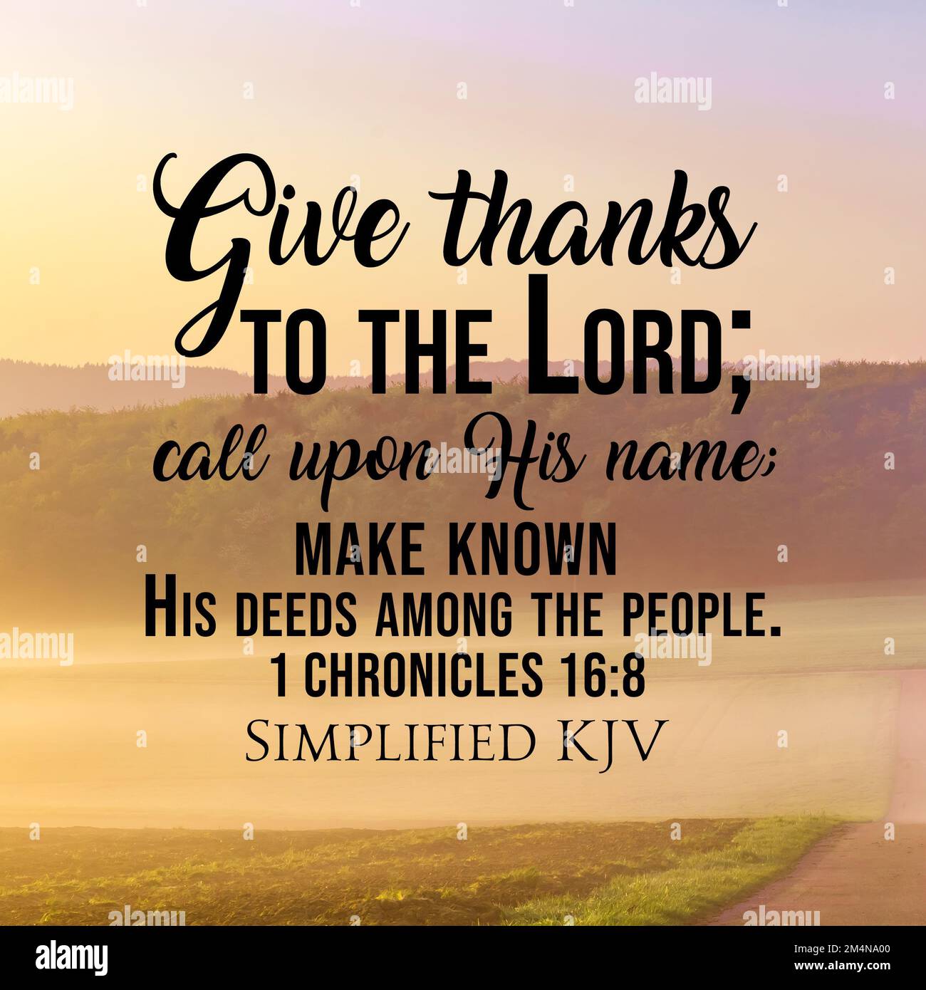 1 Chronicles 16:8 Give thanks to the Lord; call upon His name… Stock ...