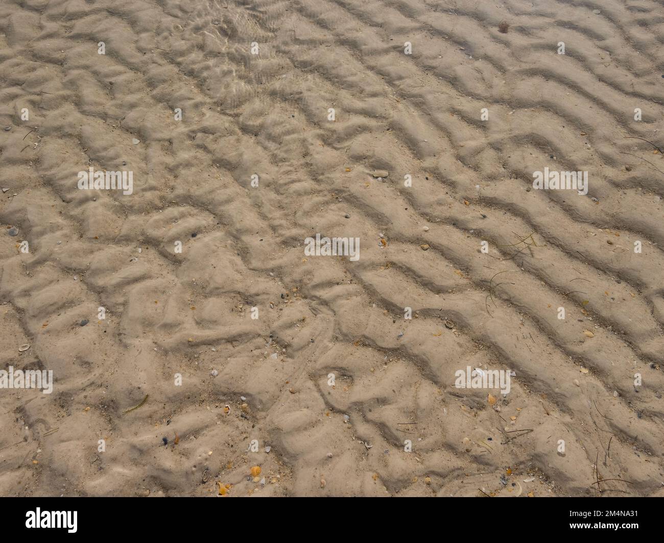 Ripples in the sand on the Gulf of Mexico beach on St George Island in ...