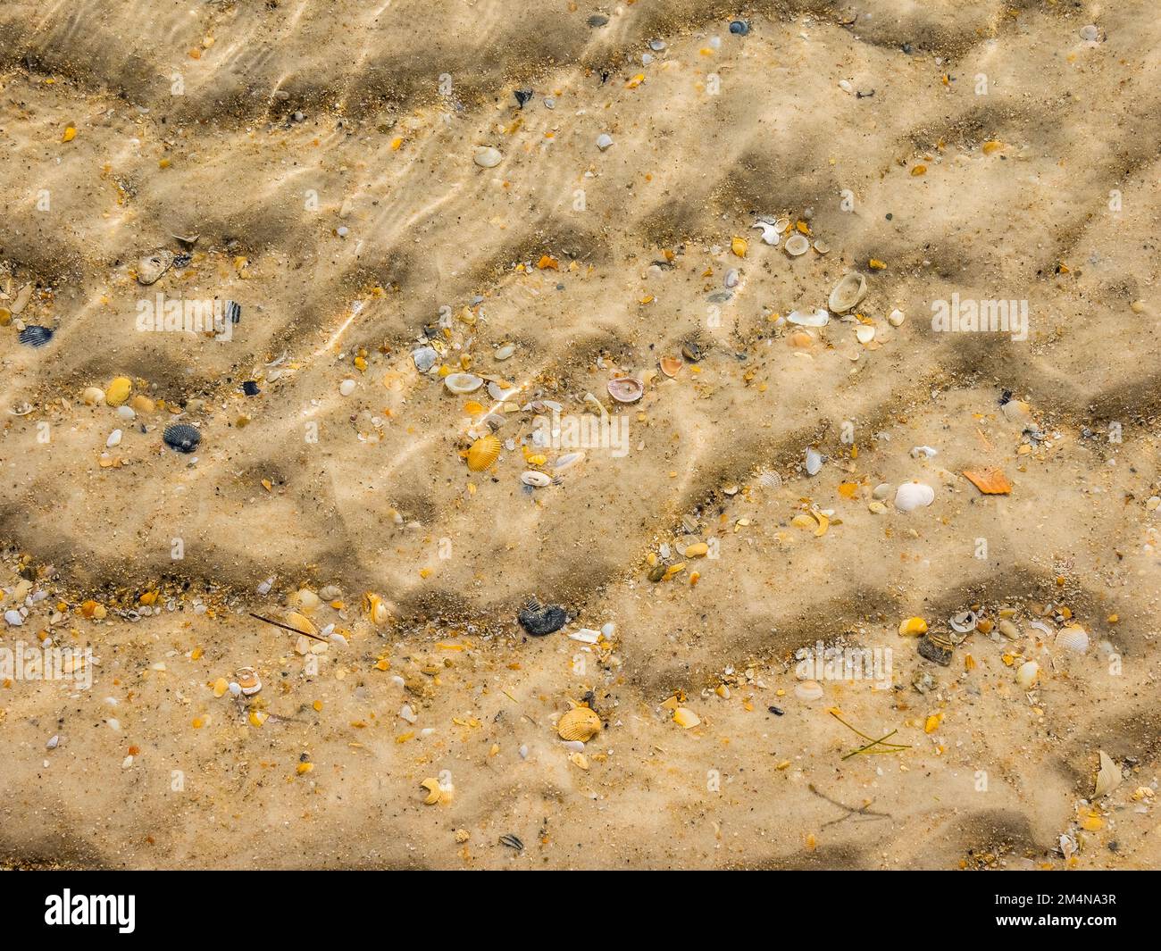 Ripples in the sand on the Gulf of Mexico beach on St George Island in ...