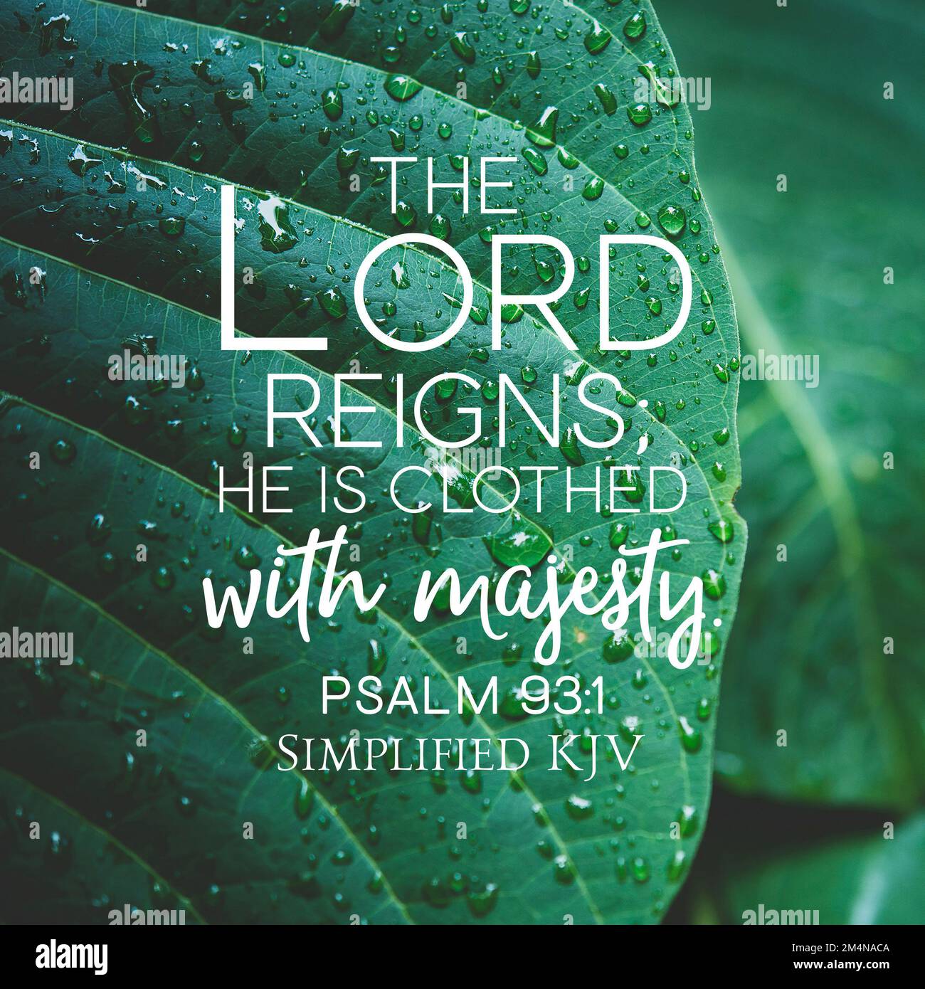 Psalm 93:1 The Lord reigns; He is clothed with majesty Stock Photo - Alamy
