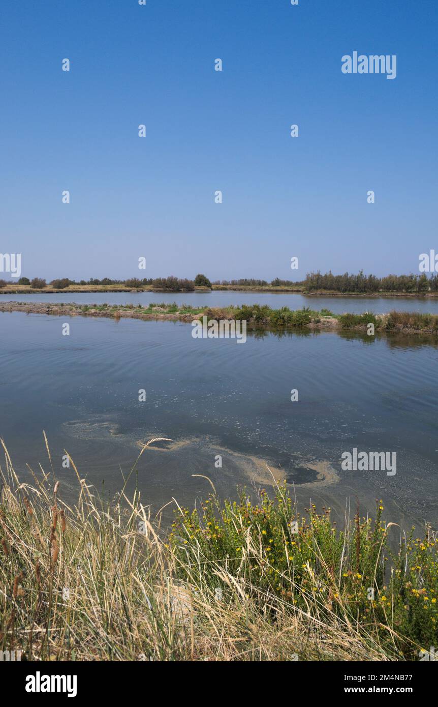 Po delta regional park hi-res stock photography and images - Alamy