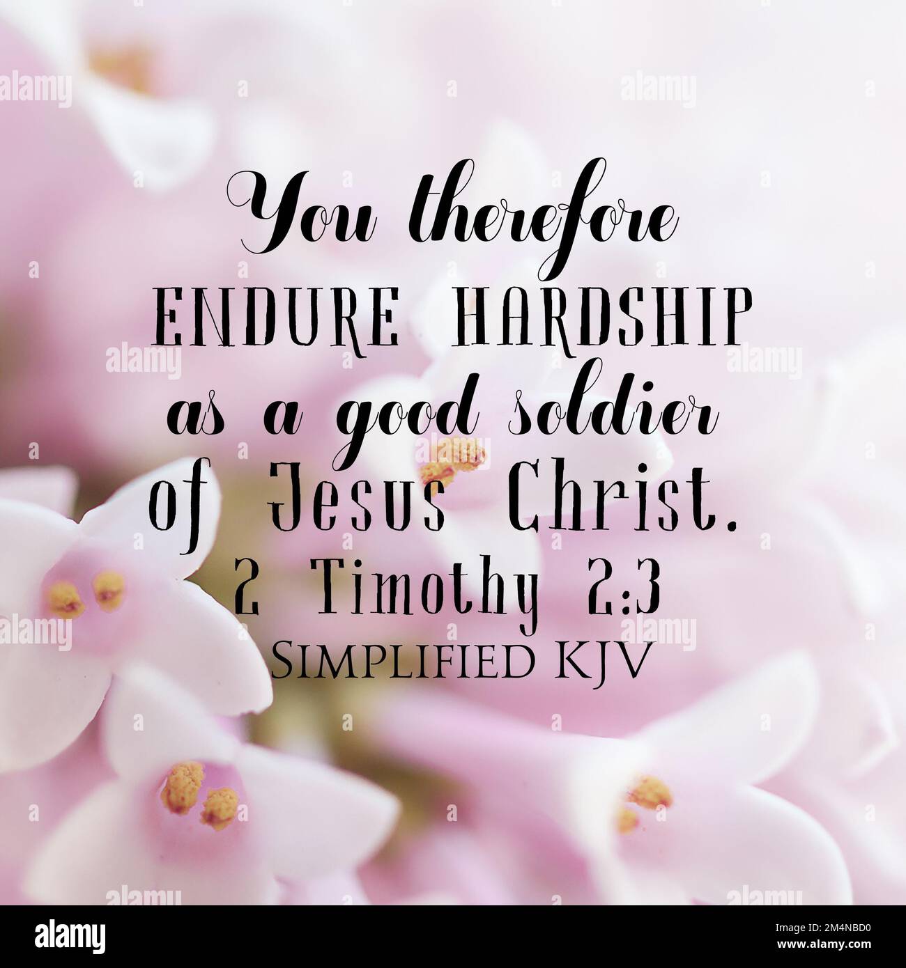 2 Timothy 2:3 You, therefore, endure hardship as a good soldier of ...