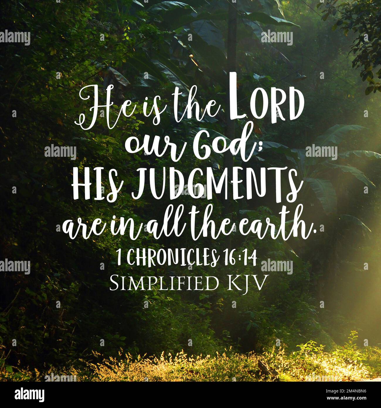 1 Chronicles 16:14 He is the Lord our God; His judgments are in all the ...