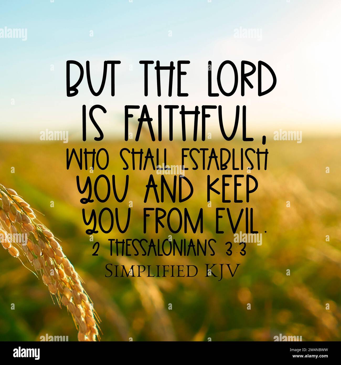 2 Thessalonians 3:3 But the Lord is faithful, who shall establish you and keep you from evil ...