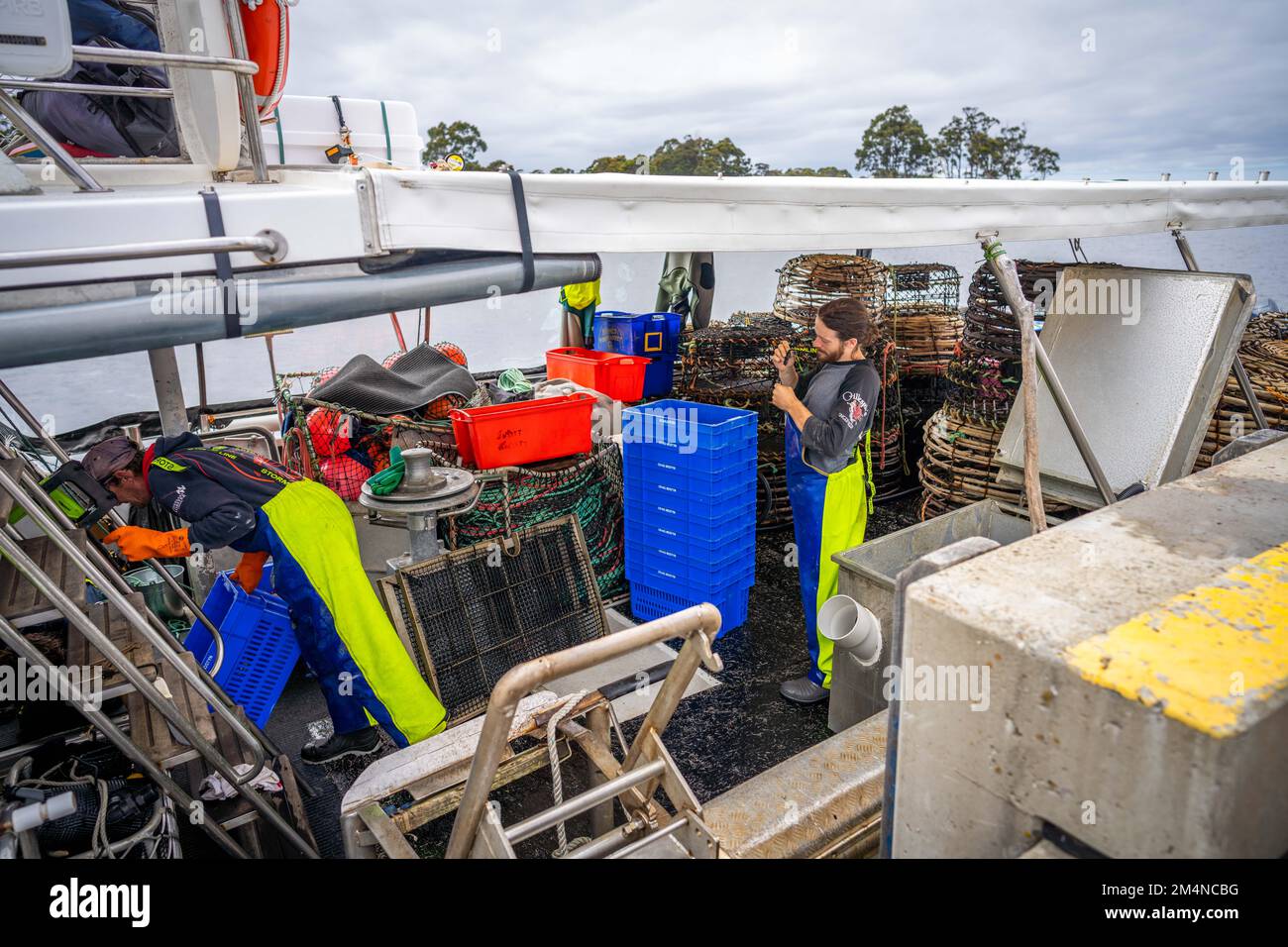 fish market with fish and crustations. seafood in australia Stock Photo ...
