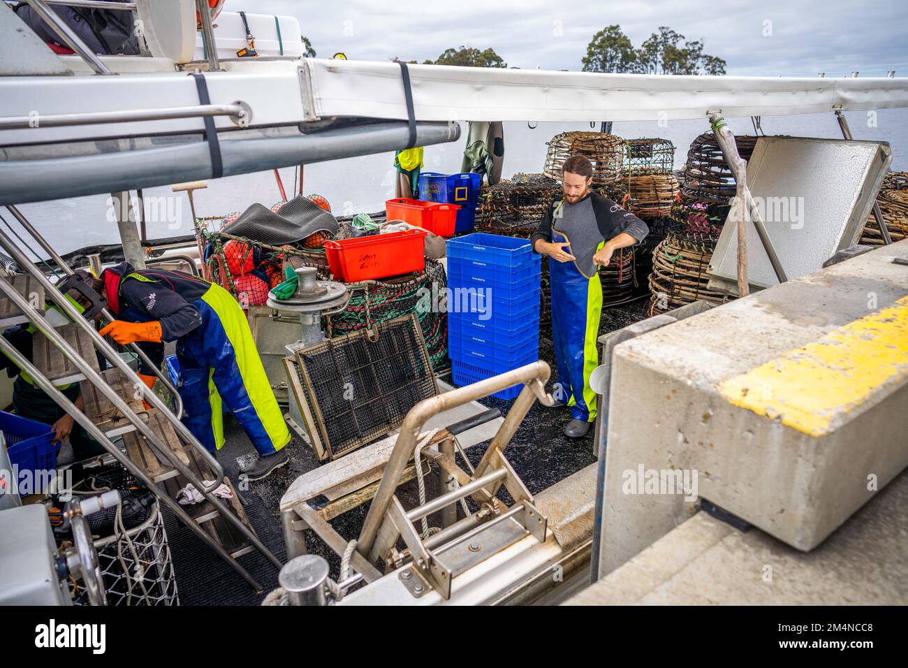 unloading a fishing boat and using scales to weight lobster. Catching ...