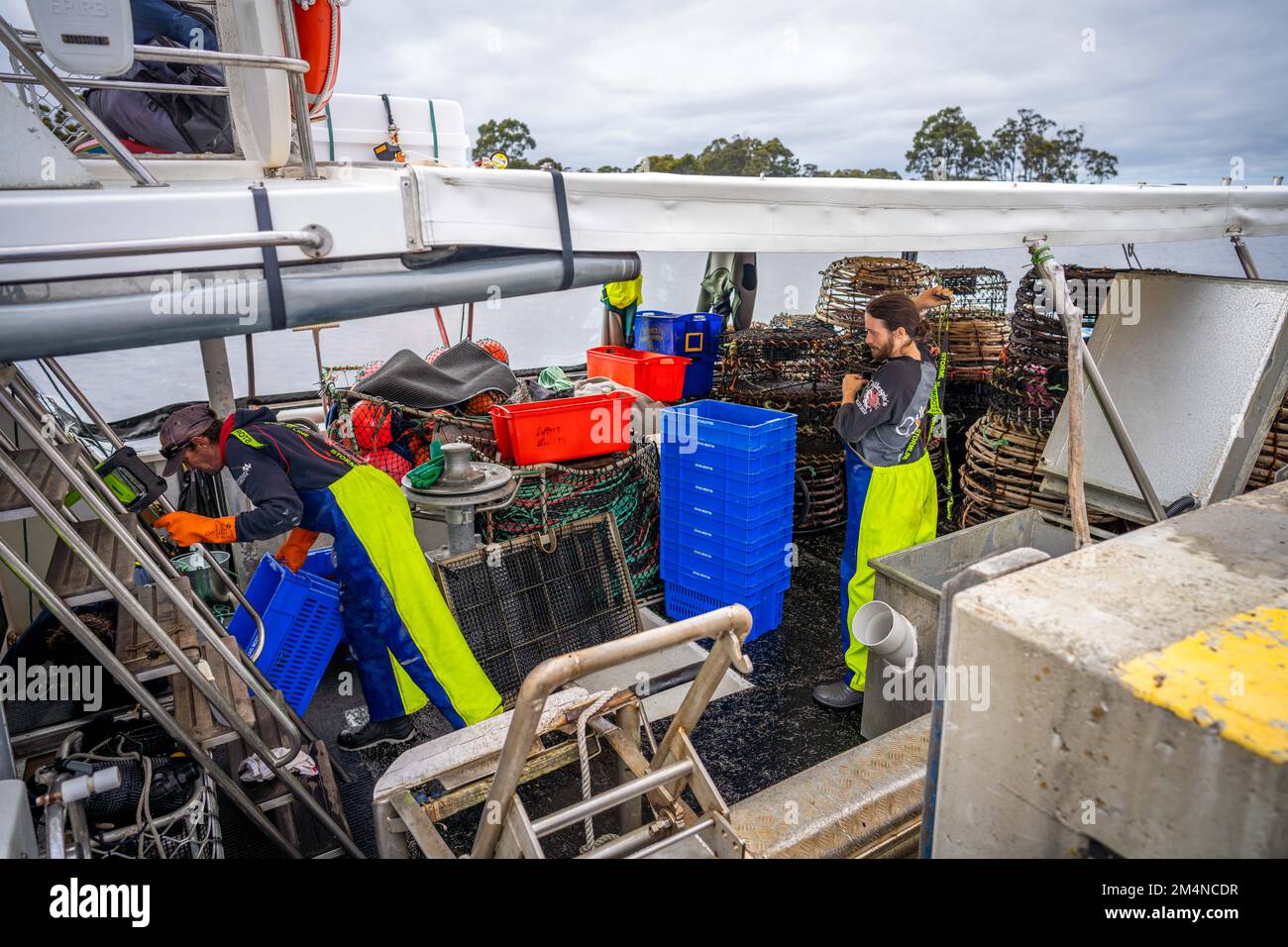 unloading a fishing boat and using scales to weight lobster. Catching ...