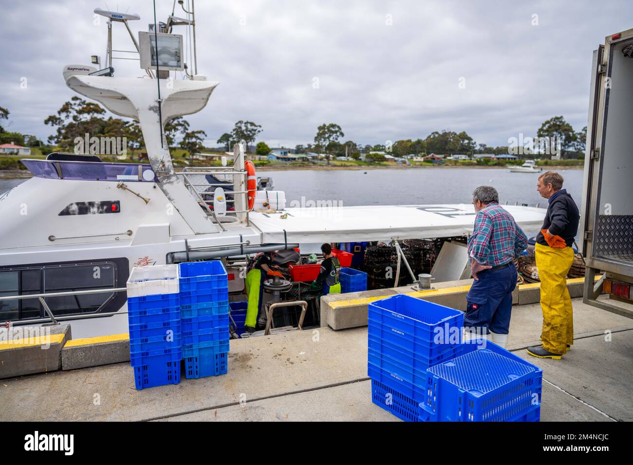 unloading a fishing boat and using scales to weight lobster. Catching ...