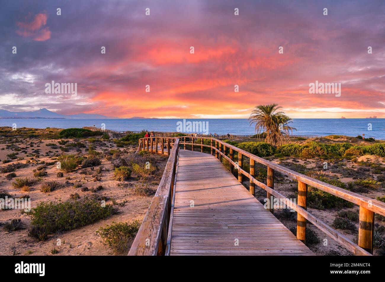 Elche beach in the golden dusk light. Landscape and scenic in the ...