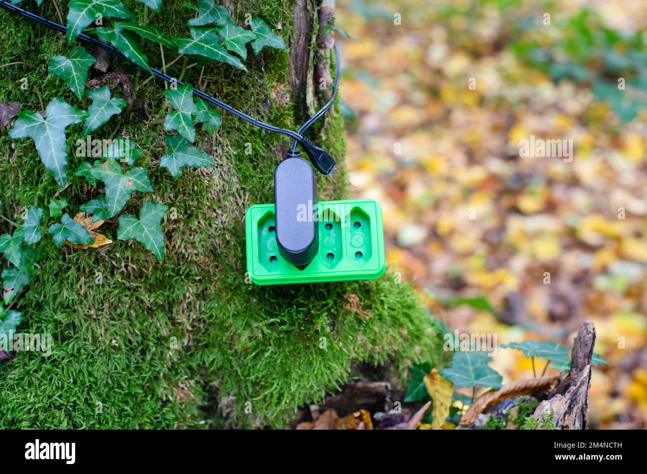 Green electricity socket on a tree trunk, substainable renewable energy ...