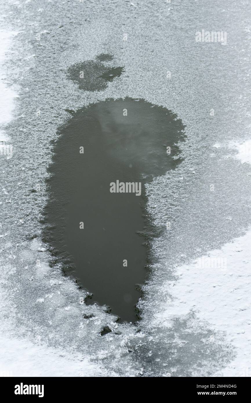 A puddle of meltwater on the lake. A puddle covered with a thin crust ...