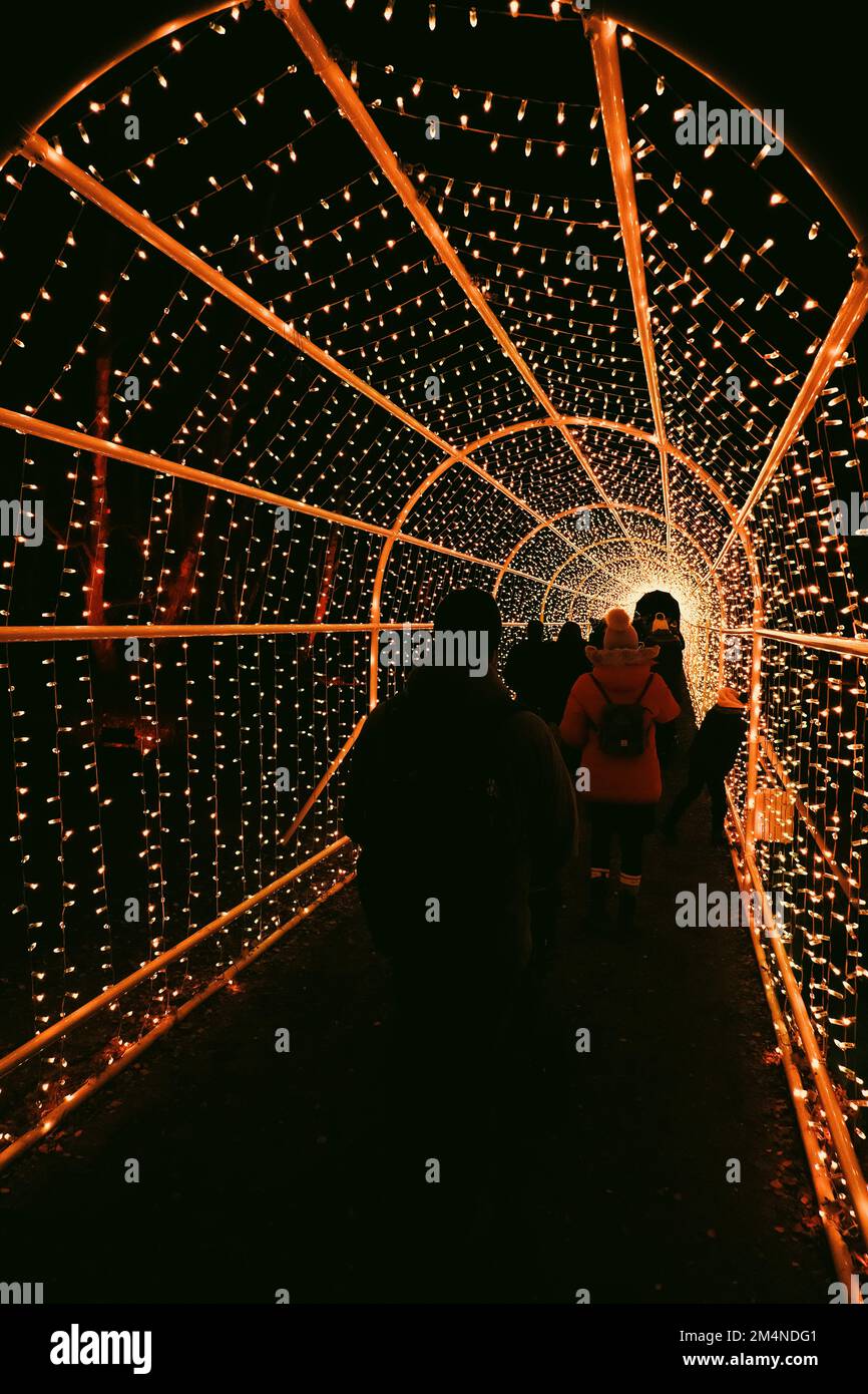 A group of people walk through a light tunnel at night Stock Photo - Alamy
