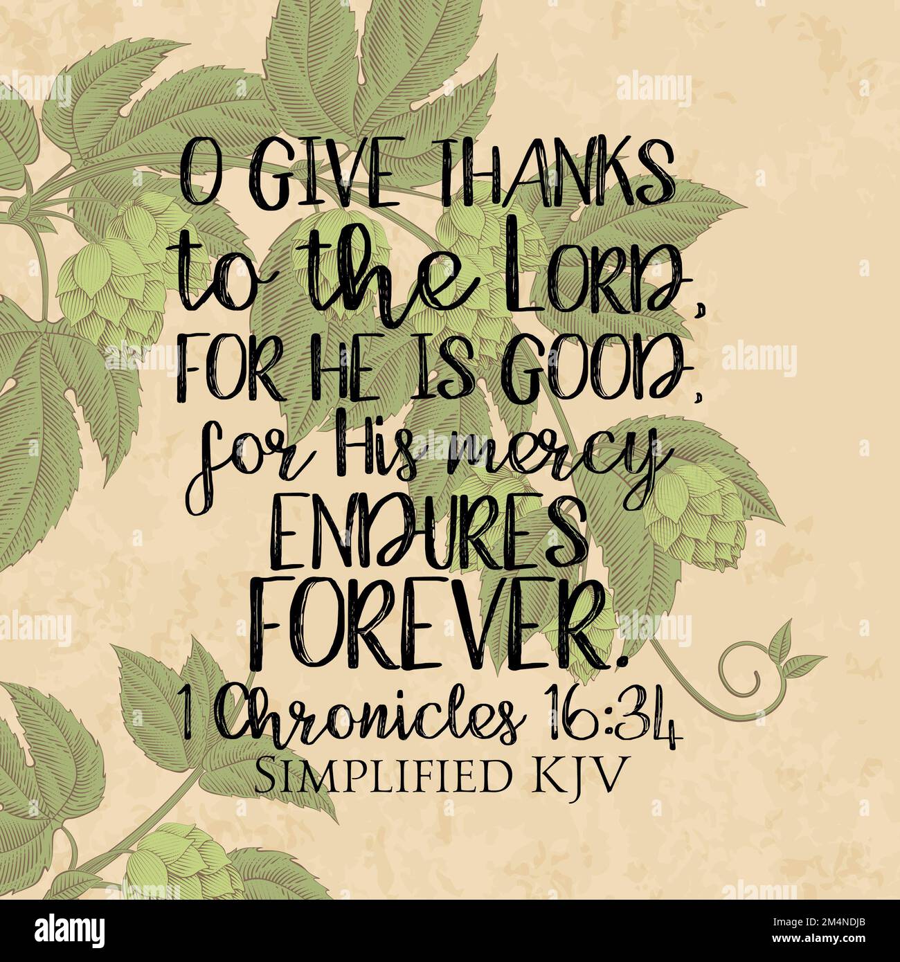 1 Chronicles 16:34 O give thanks to the Lord, for He is good… Stock ...