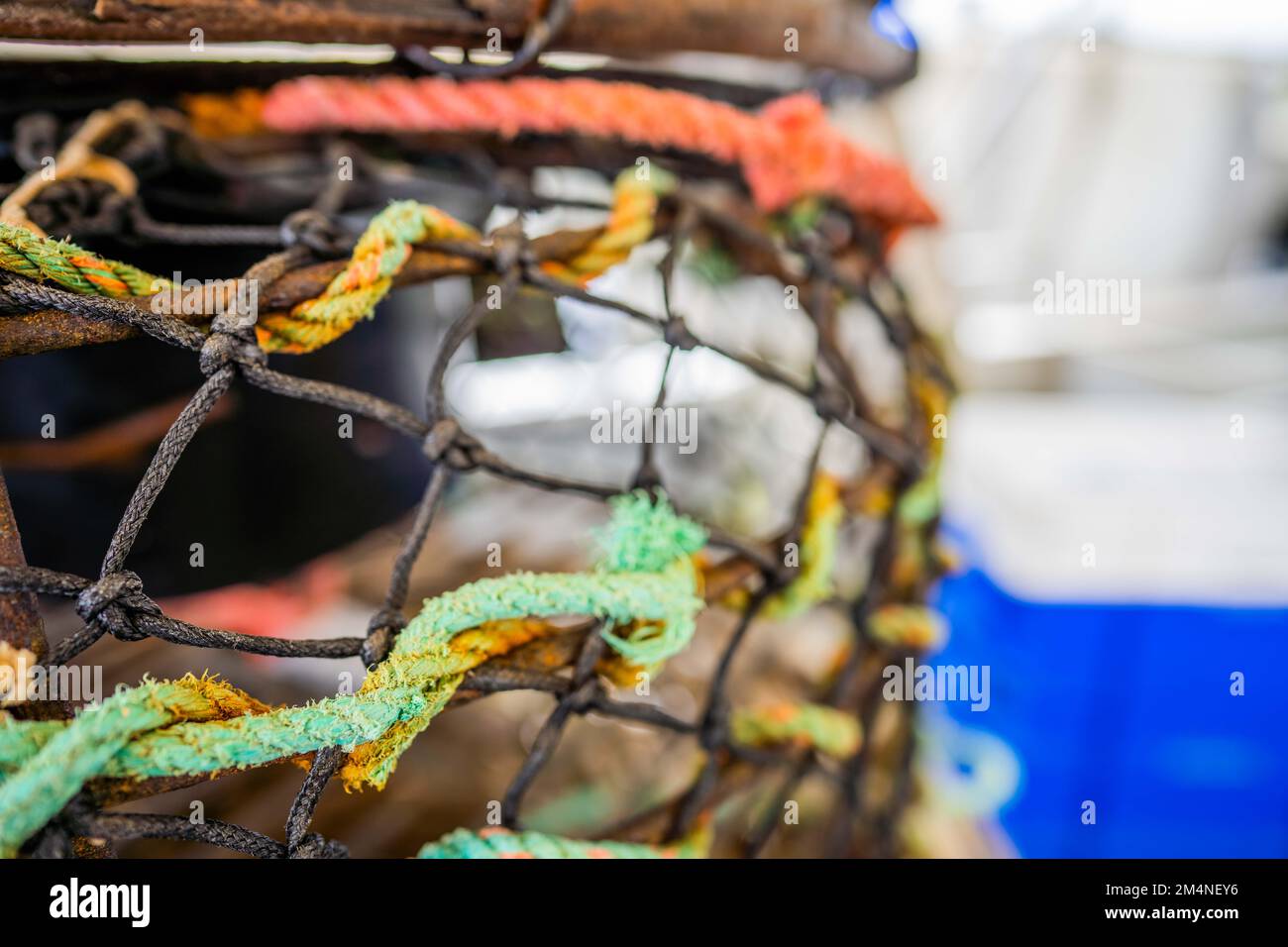 Catching live Lobster in America. Fishing crayfish in Tasmania ...