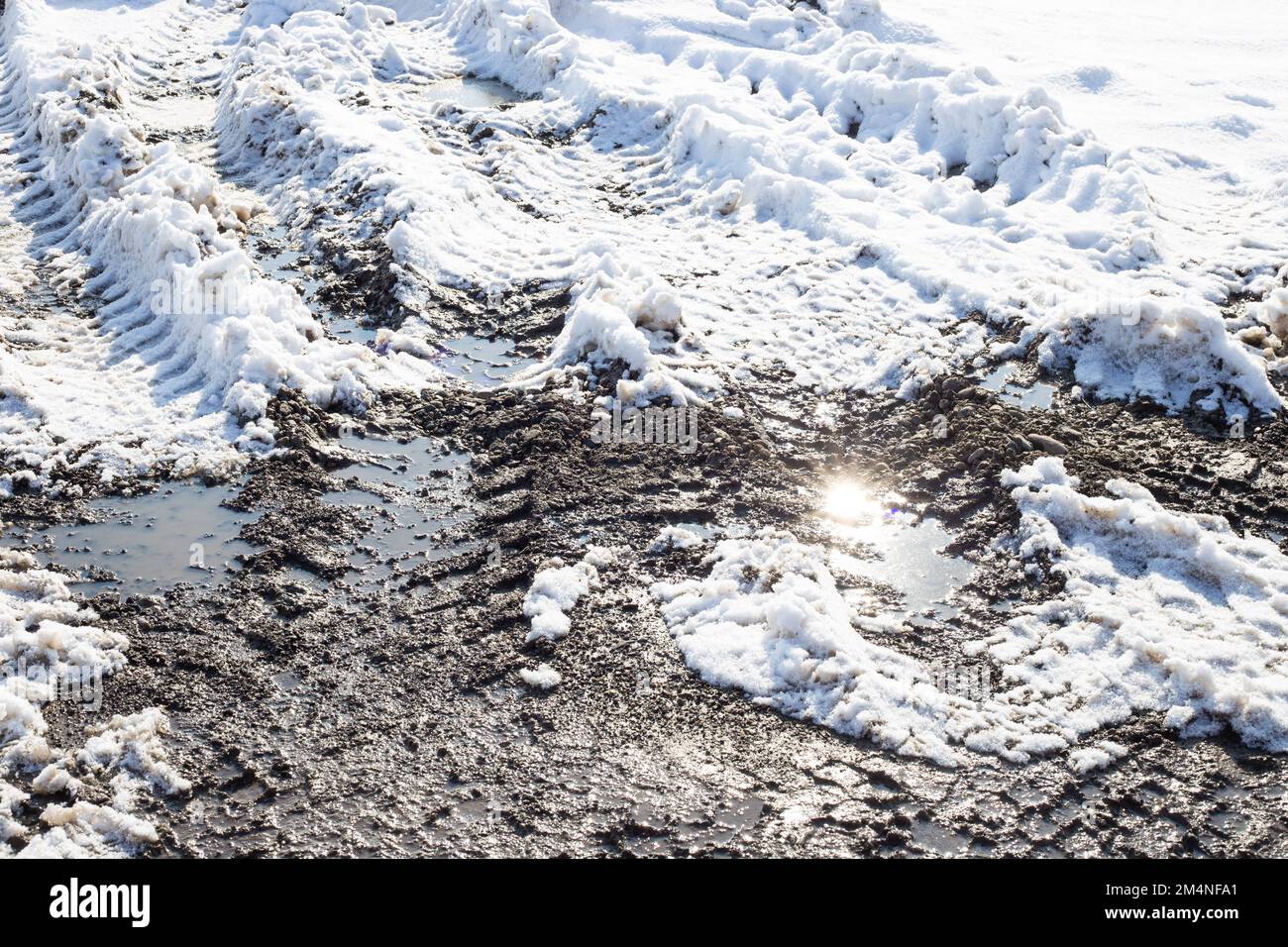 melting snow and mud with car tire treads on a dirt road illuminated by ...