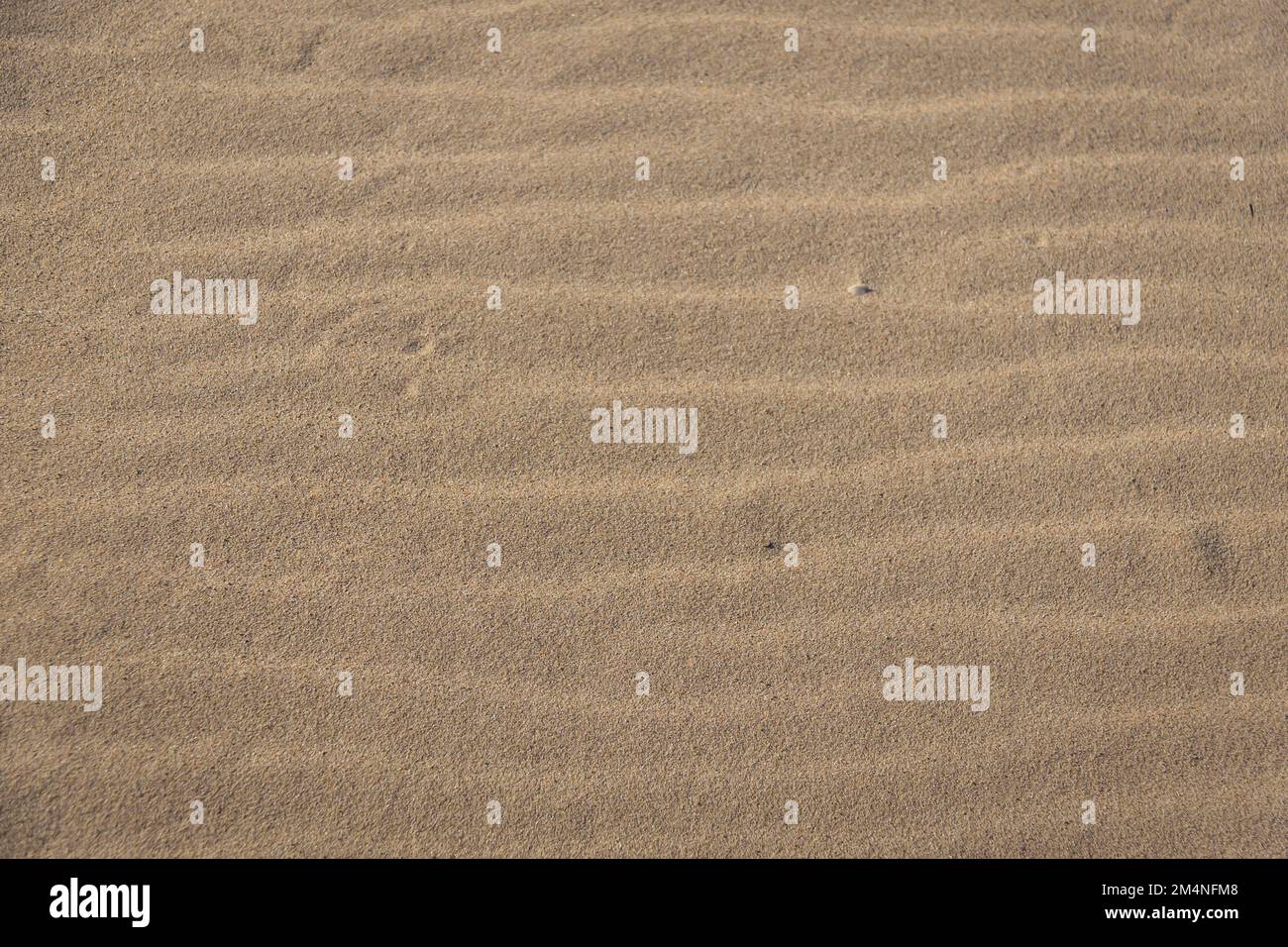 Close up of the wind-swept ripples in the sand on a beach Stock Photo ...