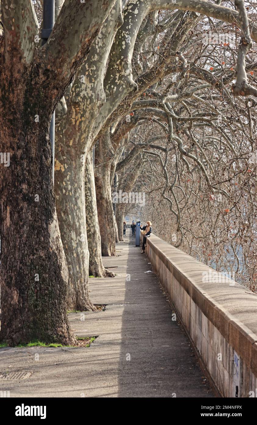Tiber waterfront in Rome Stock Photo - Alamy