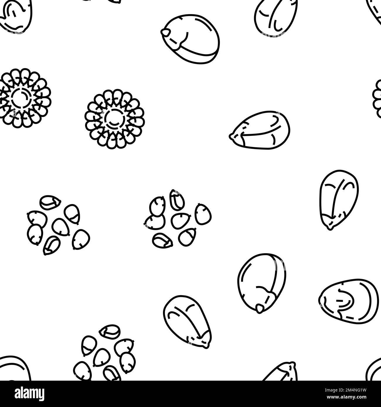 corn maize green, cob sweet vector seamless pattern Stock Vector Image ...