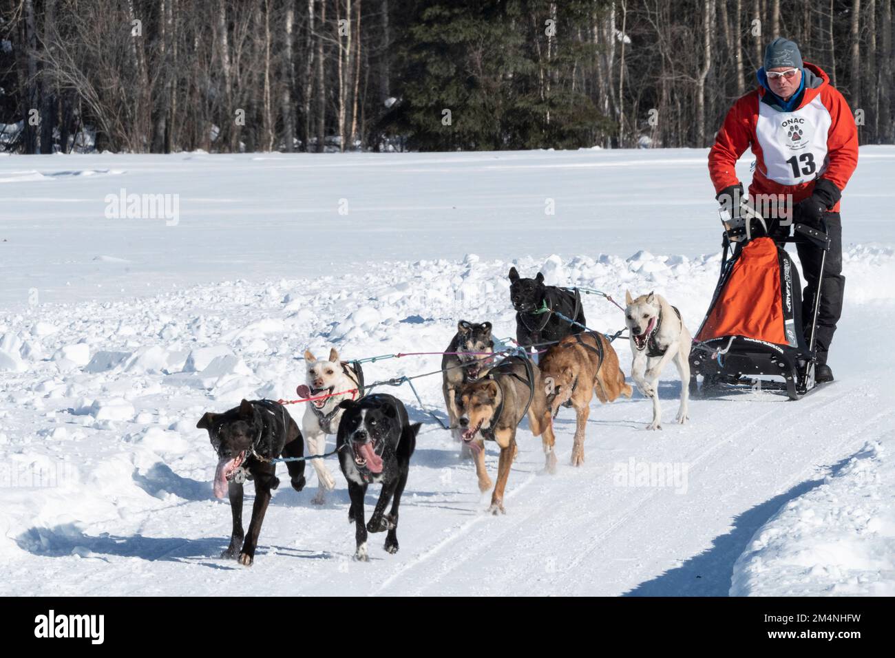 North America; United States; Alaska; Fairbanks; Taiga-Tundra; Winter ...