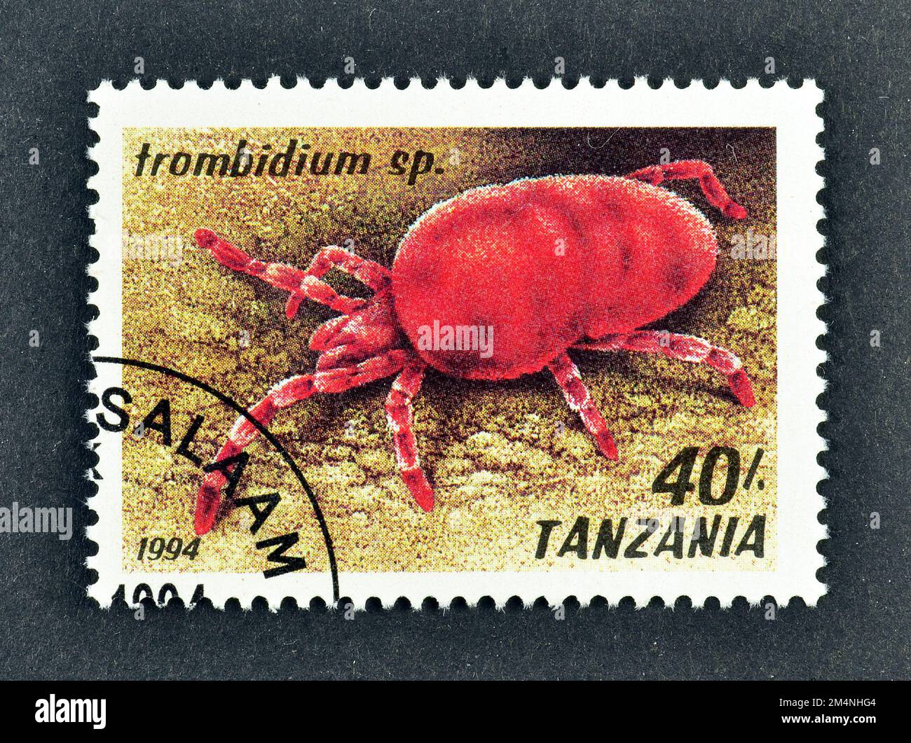 Cancelled postage stamp printed by Tanzania, that shows Red Velvet Mite ...