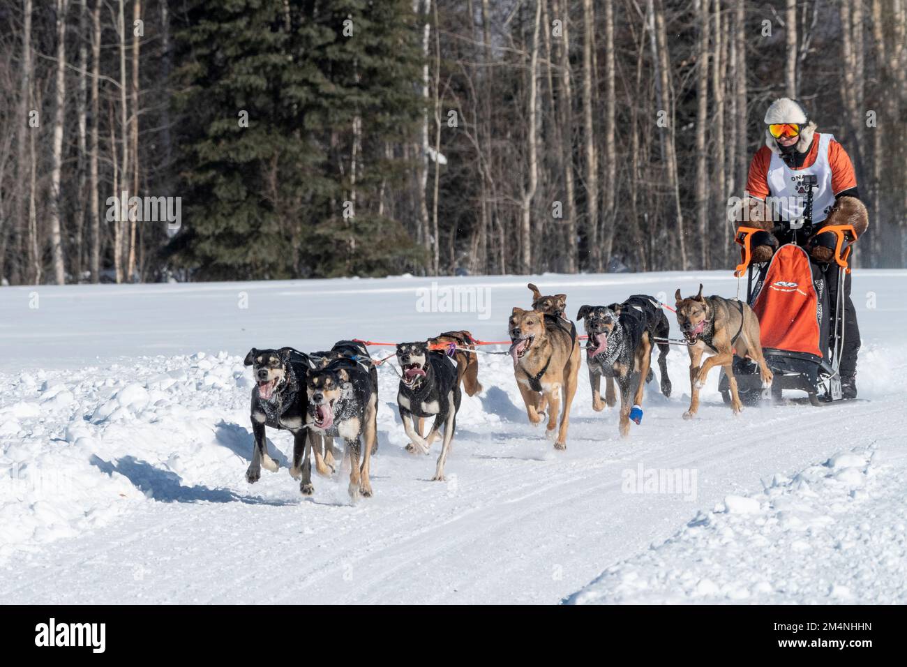 North America; United States; Alaska; Fairbanks; Taiga-Tundra; Winter ...