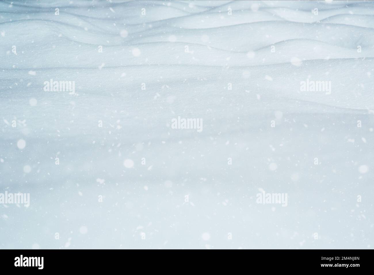 Winter landscape. It's snowing outside. Snowflakes are falling and ...