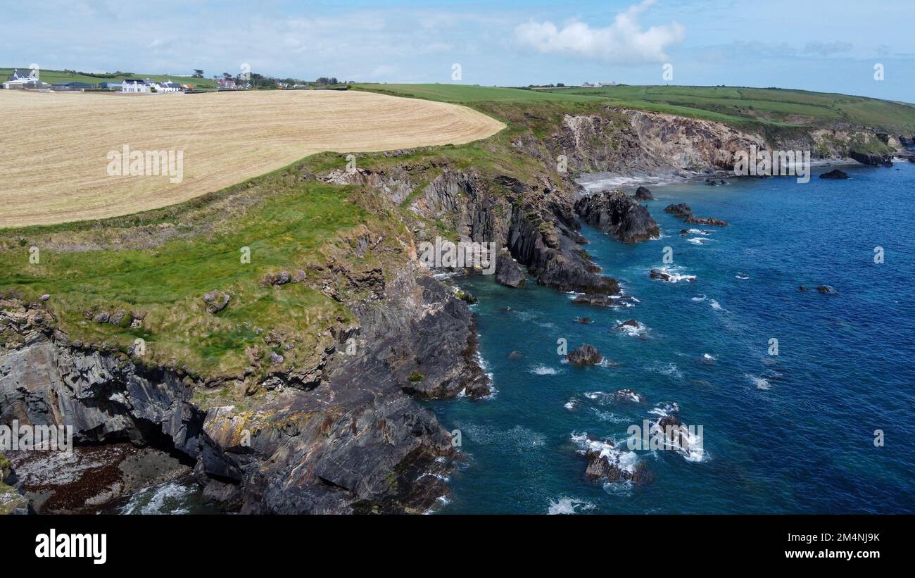 Farm fields on the shore of the Celtic Sea, south of Ireland, County ...
