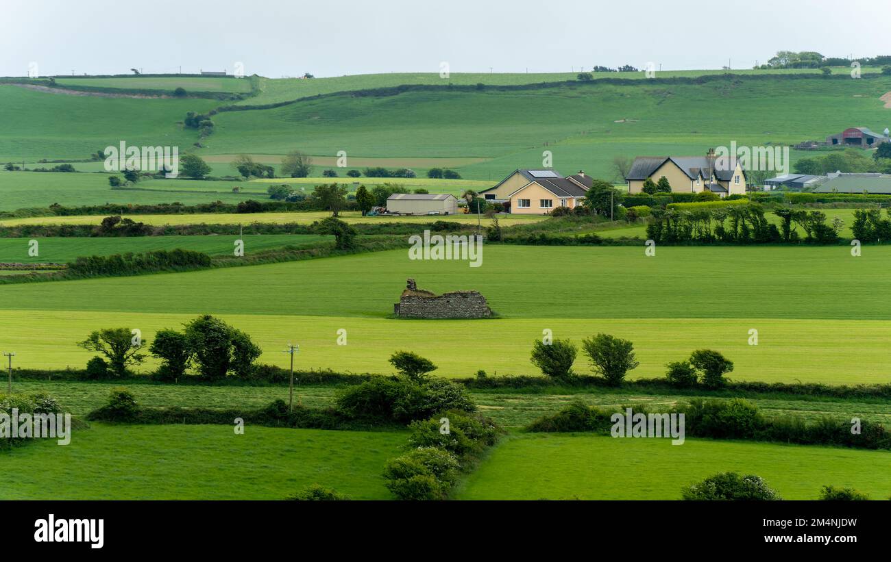 Picturesque countryside of southern Ireland on a spring day. Green farm ...
