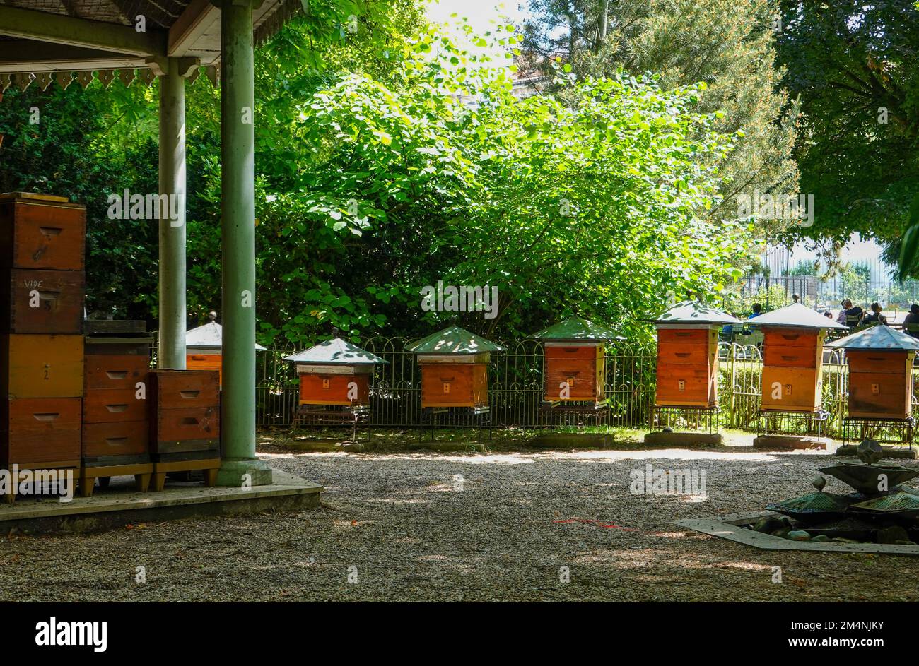 Bee hives, apiary in Luxembourg Gardens, Paris, France Stock Photo - Alamy