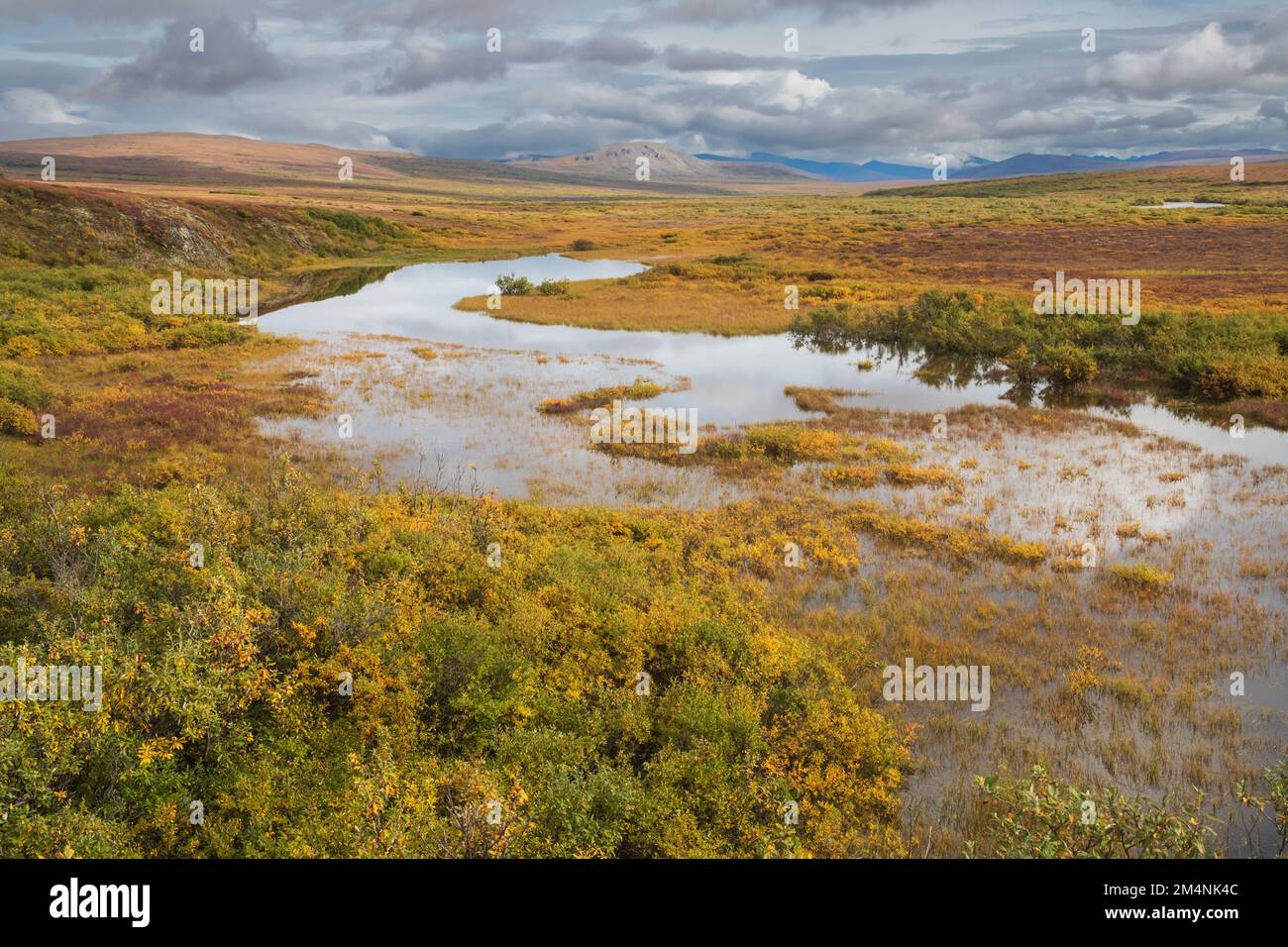 North America; United States; Alaska; Seward Peninsula; Tundra; Autumn ...
