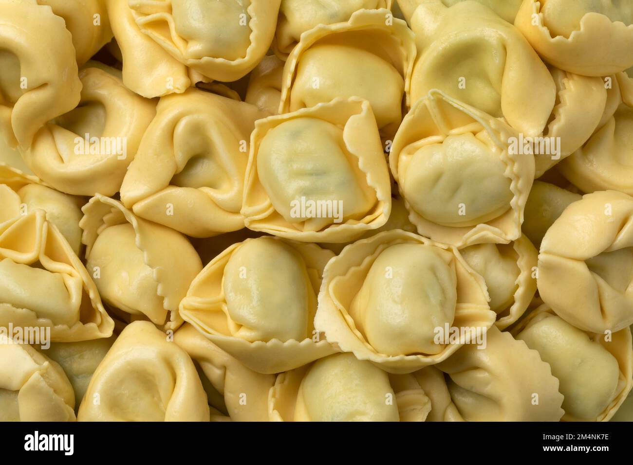 Fresh made traditional Italian tortellini stuffed with Ricotta and ...