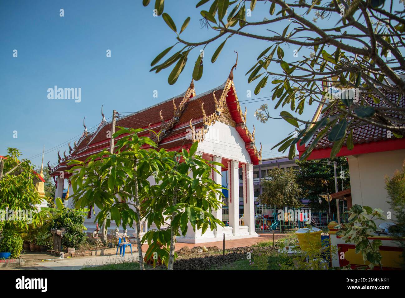 the Wat Kasem Soranaram or Wat Bang chak in the Town of Amphawa in the ...