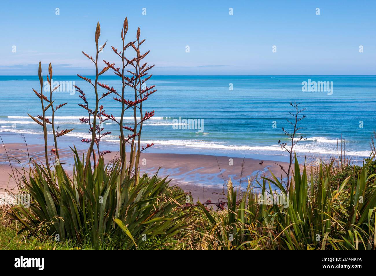 A beautiful view of a beach in Raglan, New Zealand Stock Photo - Alamy