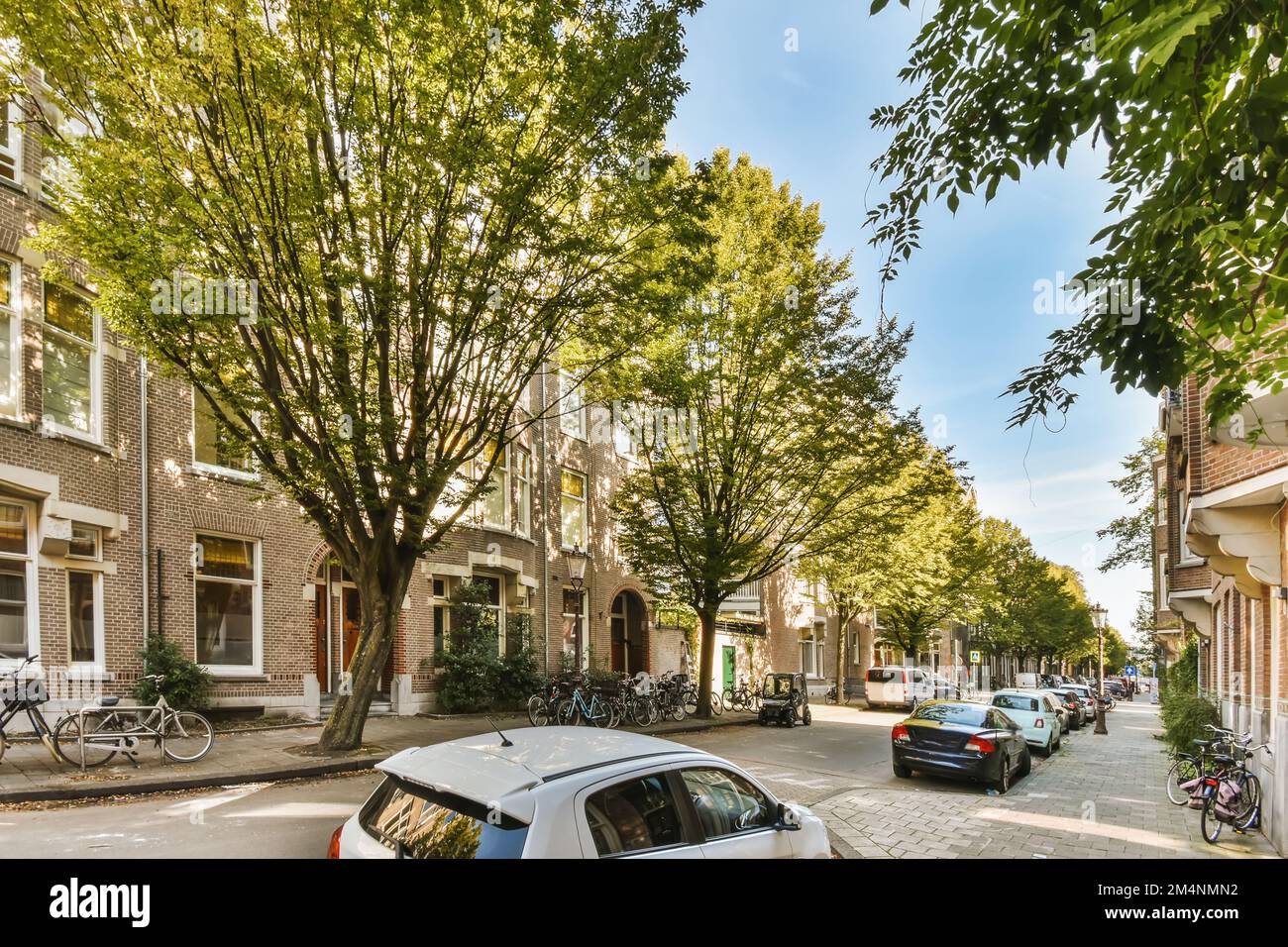 a street with cars parked on the side and trees in the middle of the ...
