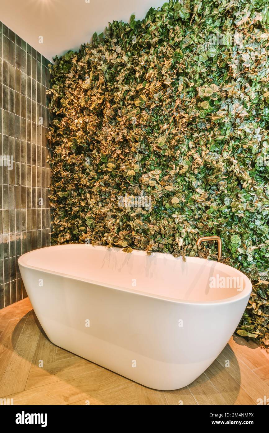 a bathtub in front of a green wall with plants on the walls and ...