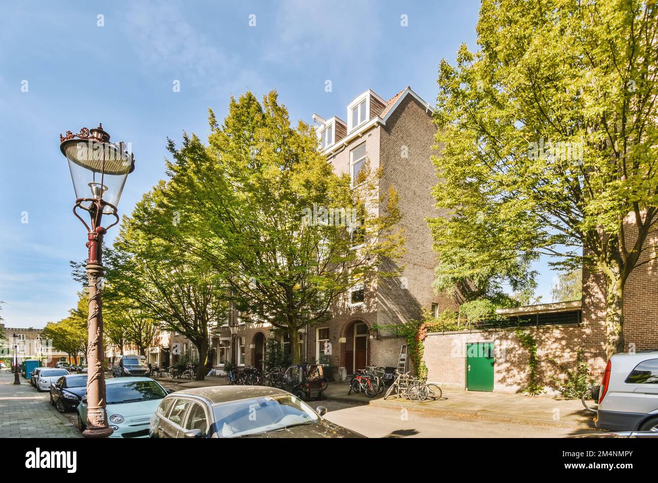 a street with cars parked on the side and trees lining the road in ...