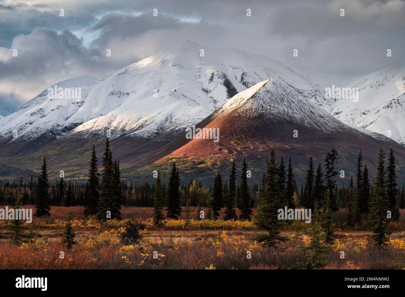 Autumn colors, Tundr-Taiga, Alaskas Stock Photo - Alamy