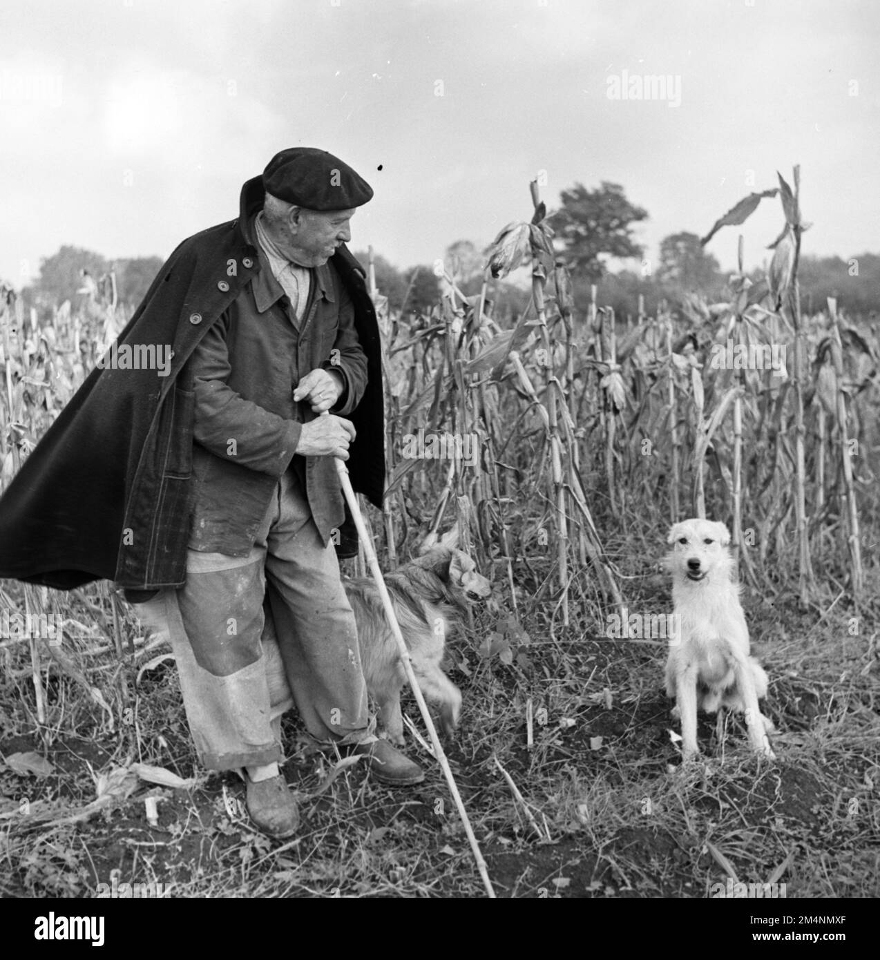 Madeleine Farm near PAU. Photographs of Marshall Plan Programs ...